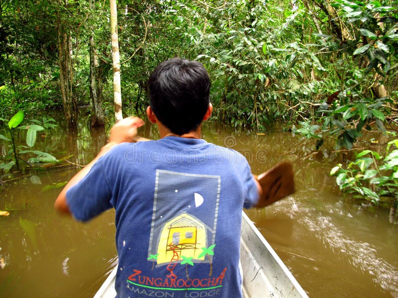 Amazon River, Peru - 10 May 2011: Jungle on Amazon River in Peru, South ...