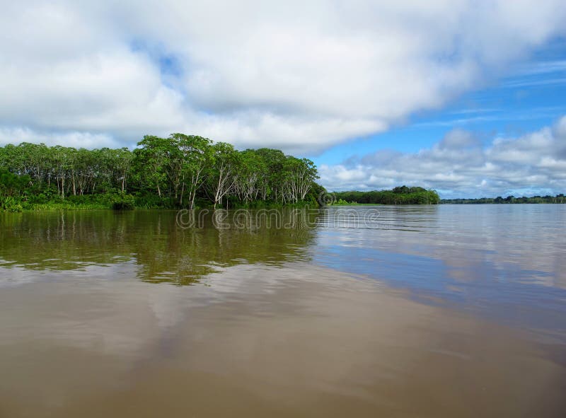 The Amazon River in Peru, South America Stock Photo - Image of ...