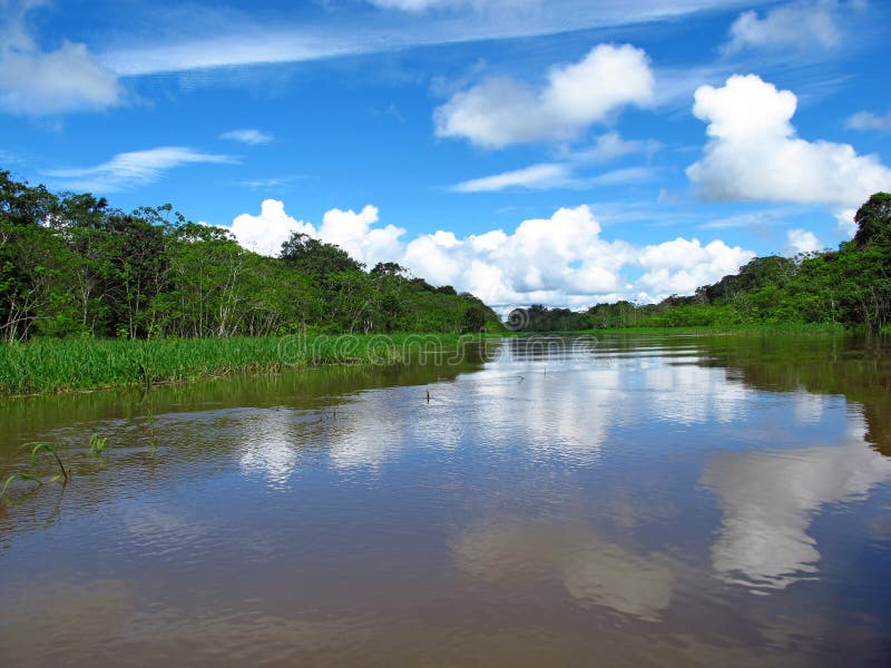 The Amazon River in Peru, South America Stock Image - Image of amazonas ...