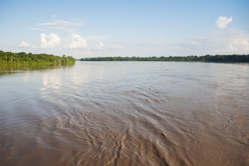 Amazon River and Rainforest Landscape Stock Image - Image of peru ...