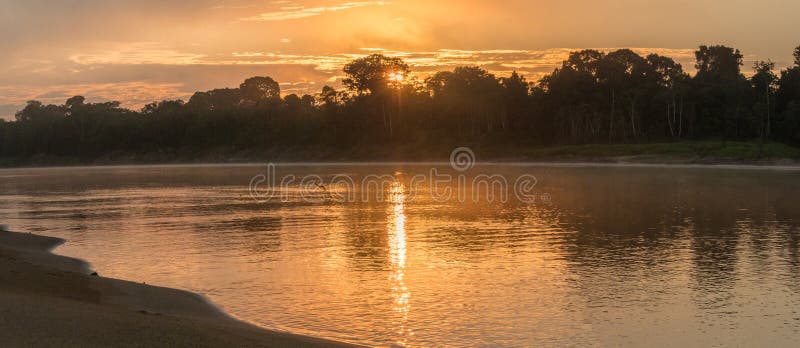 Amazon River stock image. Image of large, edge, bush - 210813879