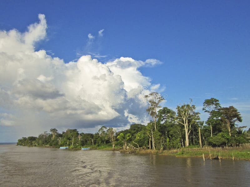Amazon River View, Brazil, South America Stock Photo - Image of ...
