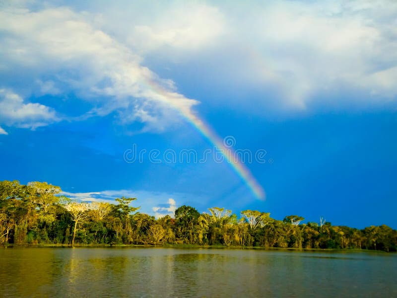 Amazon river stock image. Image of brazil, dark, river - 72412389
