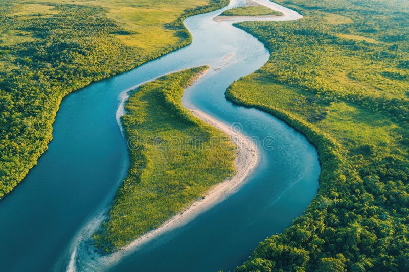 Amazon River View stock photo. Image of lush, amazon - 360052920