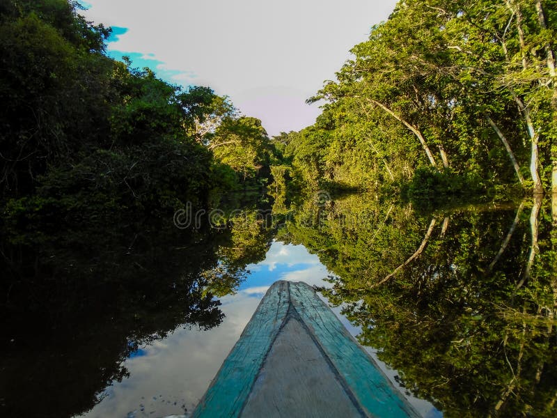 Amazon river stock image. Image of peru, brazil, amazon - 56167357