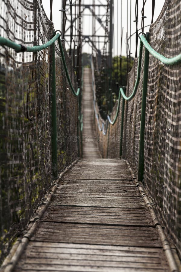 Amazon suspension bridge stock photo. Image of bridge - 37128498