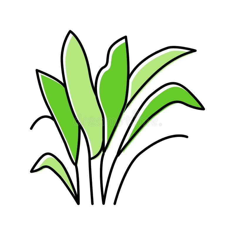 Amazon Sword Color Icon Vector Illustration Stock Vector - Illustration ...