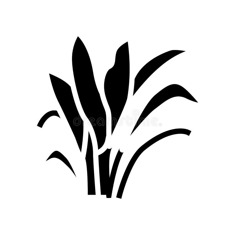 Amazon Sword Glyph Icon Vector Illustration Stock Vector - Illustration ...