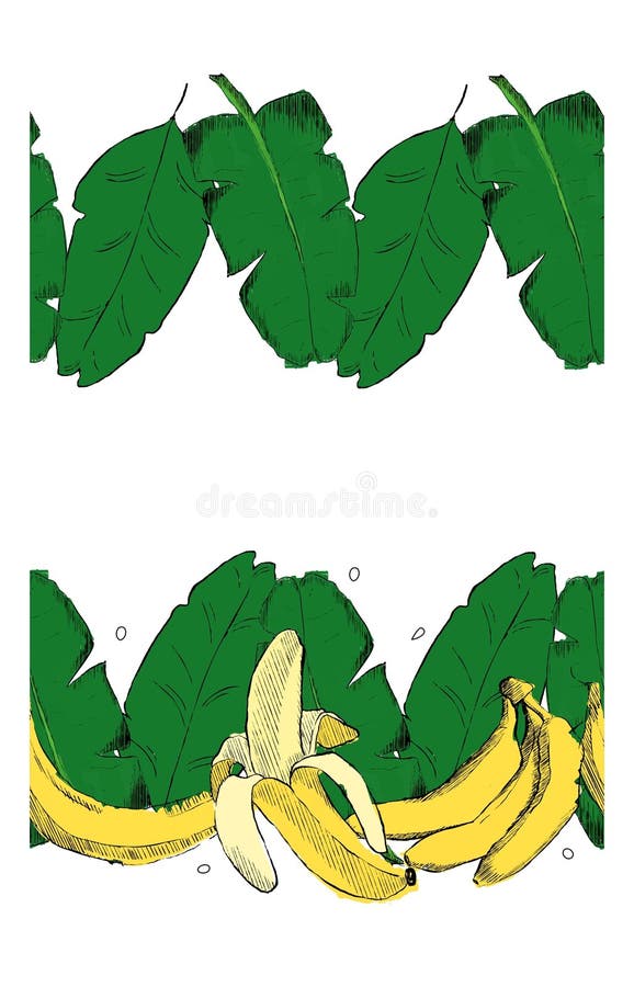 Amazon Tropical Leaves Seamless Pattern Horizontal Border Frame. Vector ...