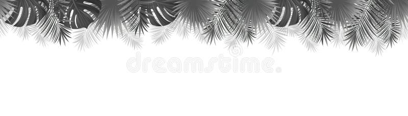 Amazon Tropical Leaves Seamless Pattern. Vector Illustration ...