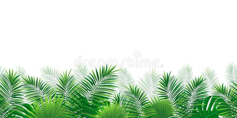 Amazon Tropical Leaves Seamless Pattern. Vector Illustration ...
