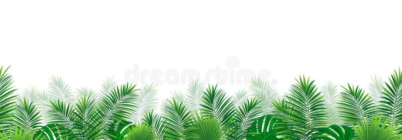 Amazon Tropical Leaves Seamless Pattern. Vector Illustration ...