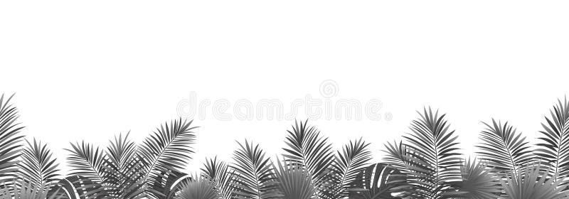 Amazon Tropical Leaves Seamless Pattern. Vector Illustration ...