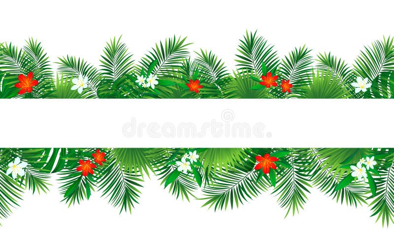 Tropical Seamless Border Frame. Vector Illustration. Rainforest Foliage ...