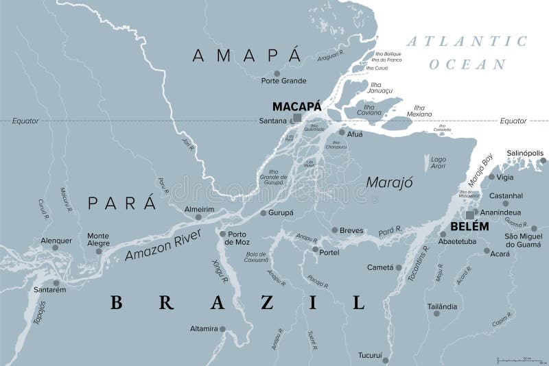 Amazon Delta, Amazonas, Gray Political Map Stock Vector - Illustration ...