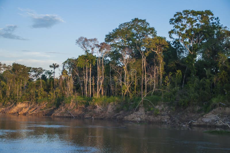 Flod Och Regnskog På Amazonas, Brasilien Arkivfoto - Bild av ambles ...