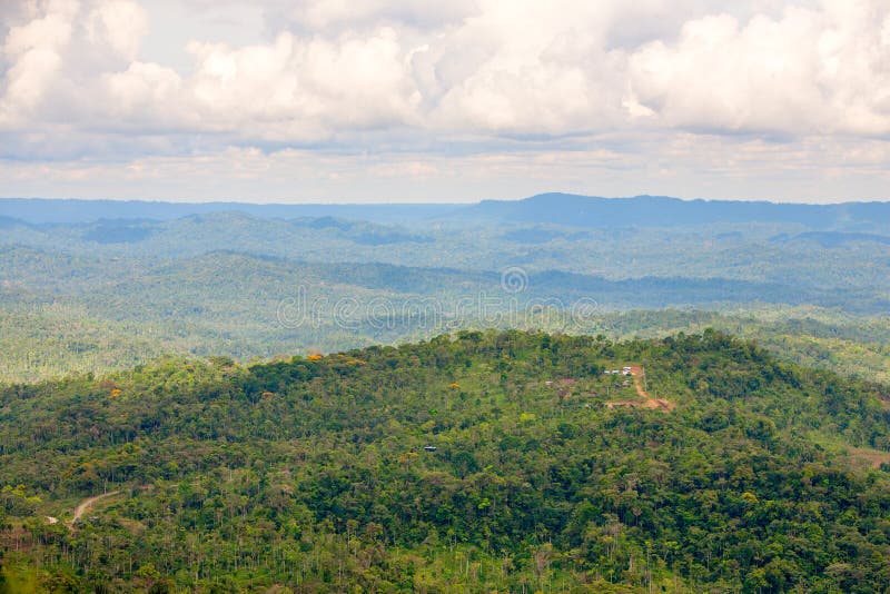 Amazonian Jungle Aerial View Stock Image - Image of outdoor, bush: 61377325