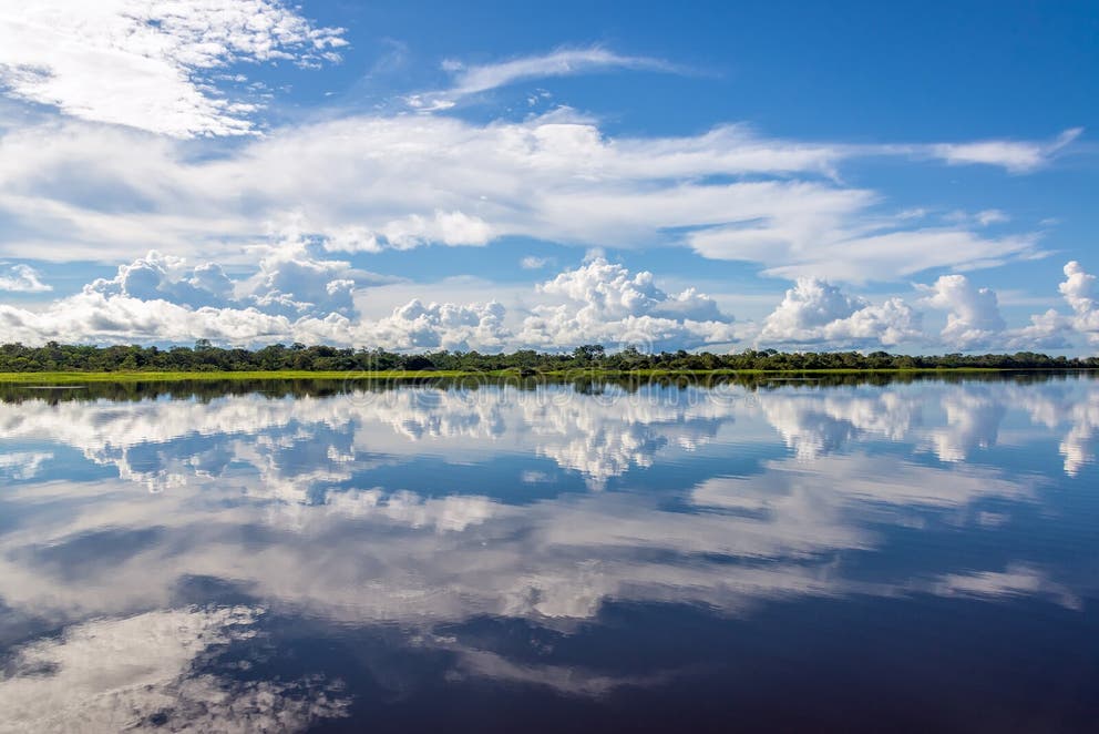 Amazonian Reflection stock image. Image of america, forest - 52121855