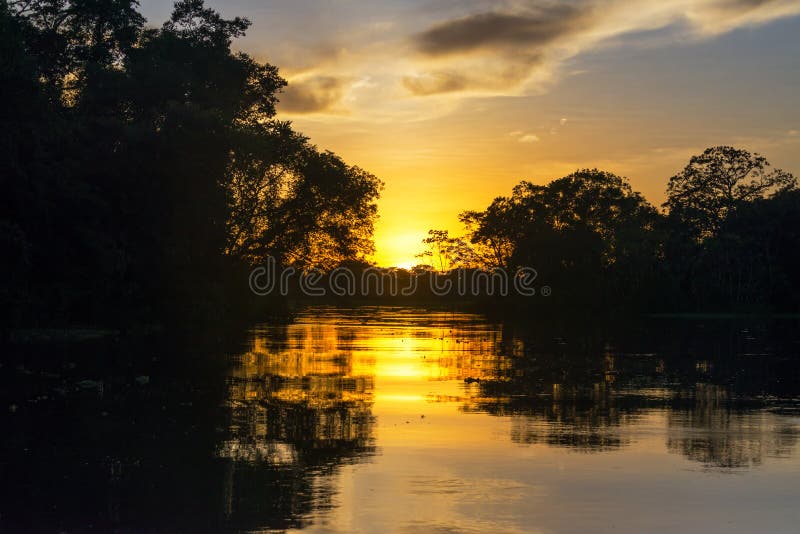 Amazon Sunset over Lake stock photo. Image of forest - 56507170