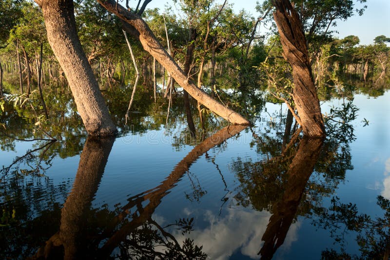 Tupana Stock Photos - Free & Royalty-Free Stock Photos from Dreamstime