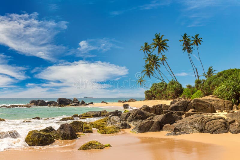 Ambalangoda Beach in Sri Lanka Stock Photo - Image of coconut, lanka ...