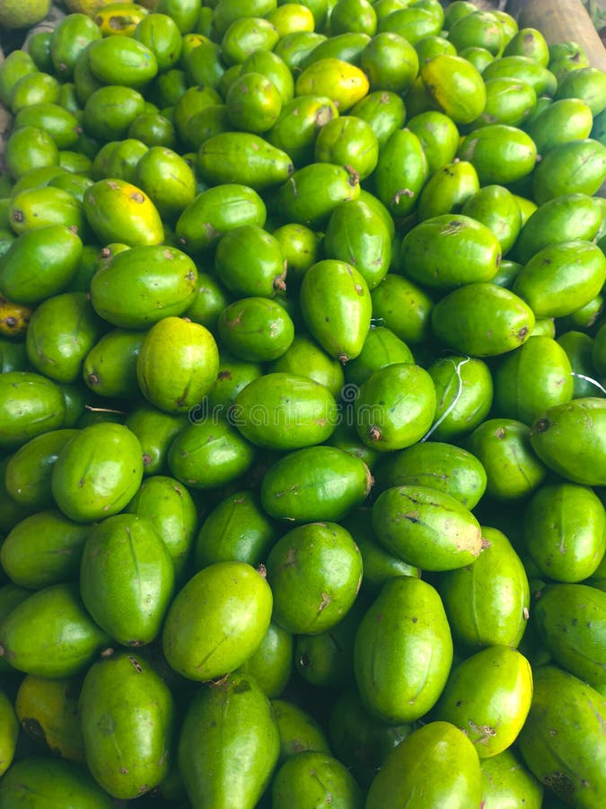 Ambarella Fruit stock photo. Image of food, indonesian - 232673602