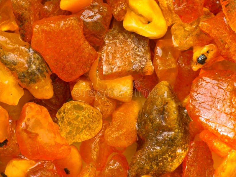 Raw amber stock image. Image of nature, color, glass, mineralpine - 1125597