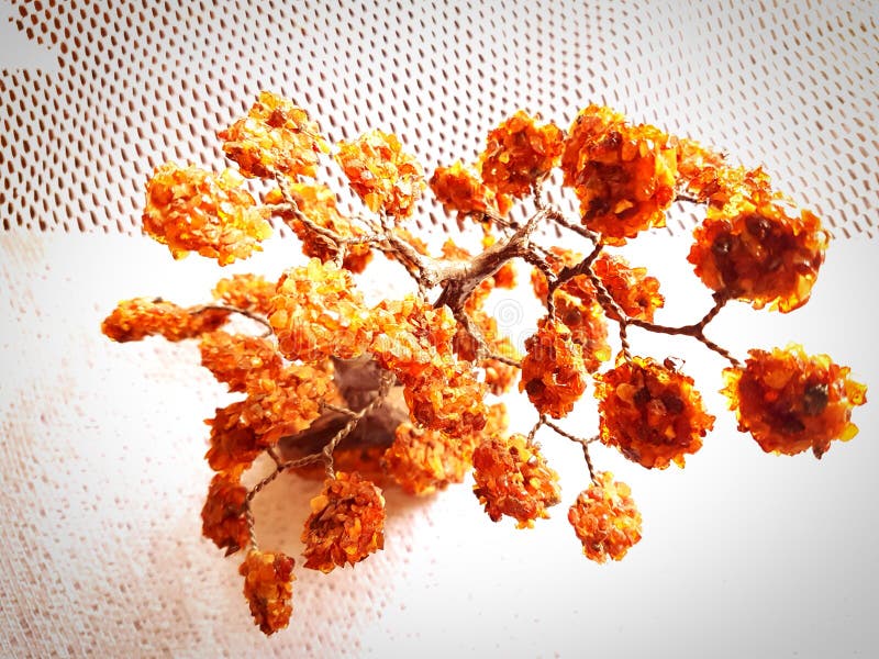 Ambertree Stock Photos - Free & Royalty-Free Stock Photos from Dreamstime