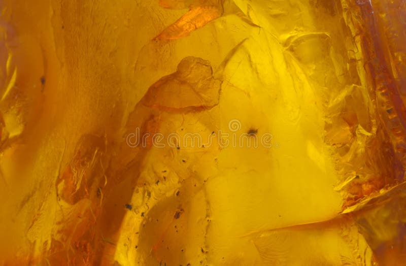 Amber texture stock image. Image of vibrant, background - 5851185