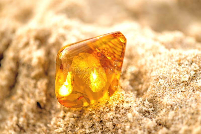 Amber on a beach stock photo. Image of precious, geology - 93667842