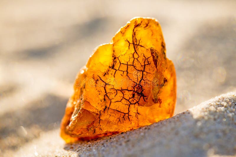 Amber on a beach stock photo. Image of gemstone, juice - 103318720