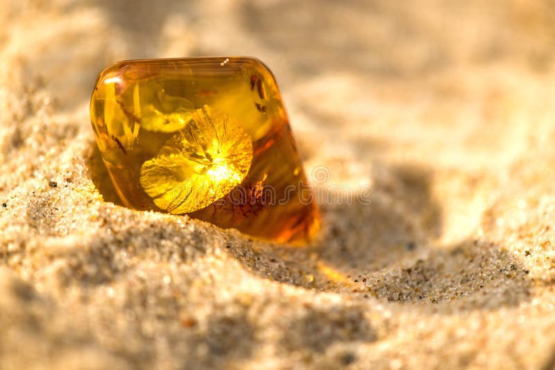 Amber on a beach stock photo. Image of precious, geology - 93667842