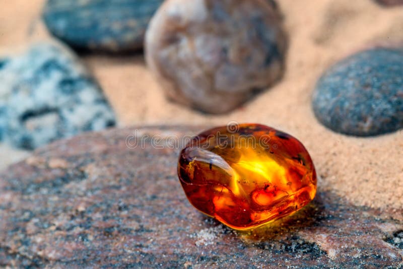 Amber on a beach stock photo. Image of precious, geology - 93667842