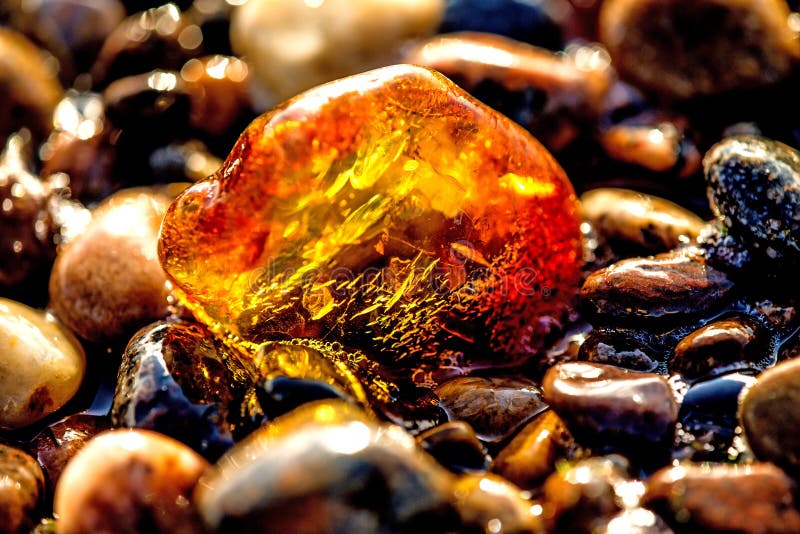 Amber on a beach stock photo. Image of precious, geology - 93667842