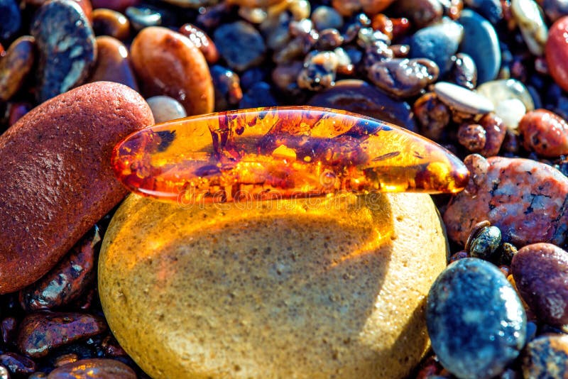 Amber on a Beach of the Baltic Sea Stock Photo - Image of rock, orange ...