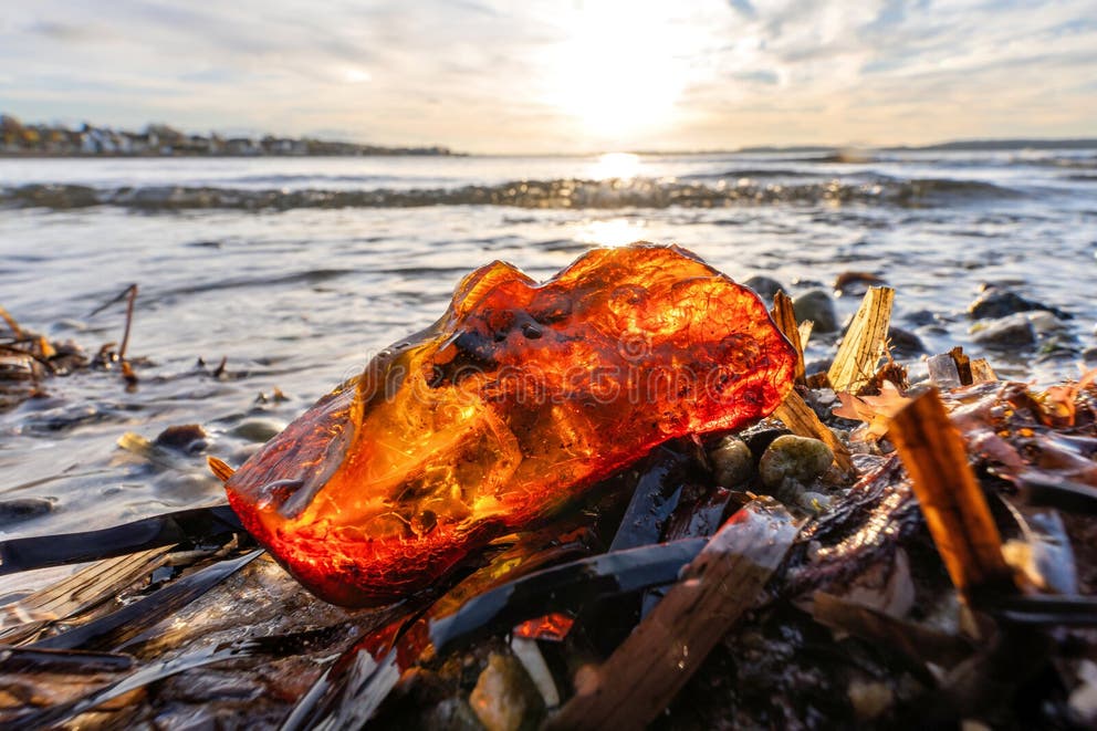 Amber at sunset stock photo. Image of outdoor, fortune - 350487672