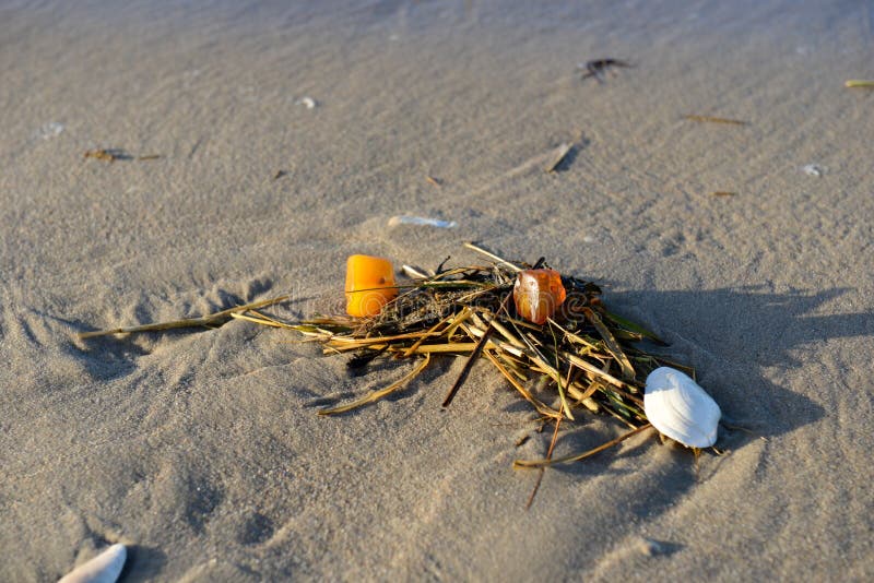 Amber on the beach stock image. Image of baltic, stone - 67043525