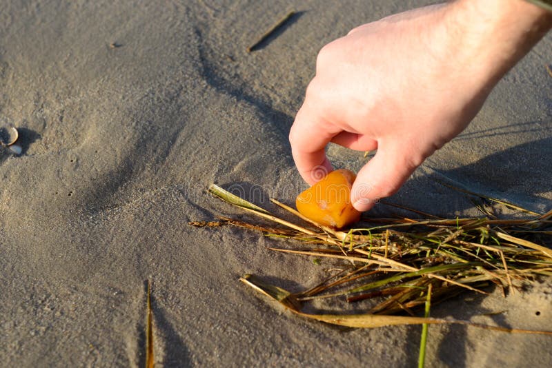 Amber on the beach stock photo. Image of precious, treasure - 67043544