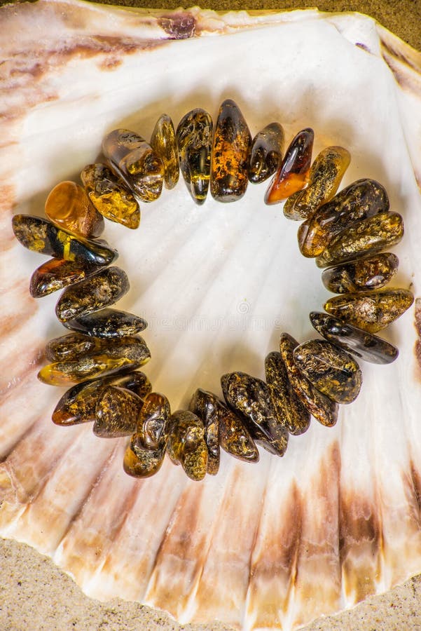 Amber bracelet stock image. Image of amber, self, bingen - 67753777