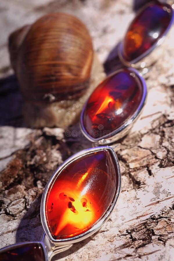 Amber Bracelet on Tree S Bark Stock Photo - Image of necklaces, gems ...