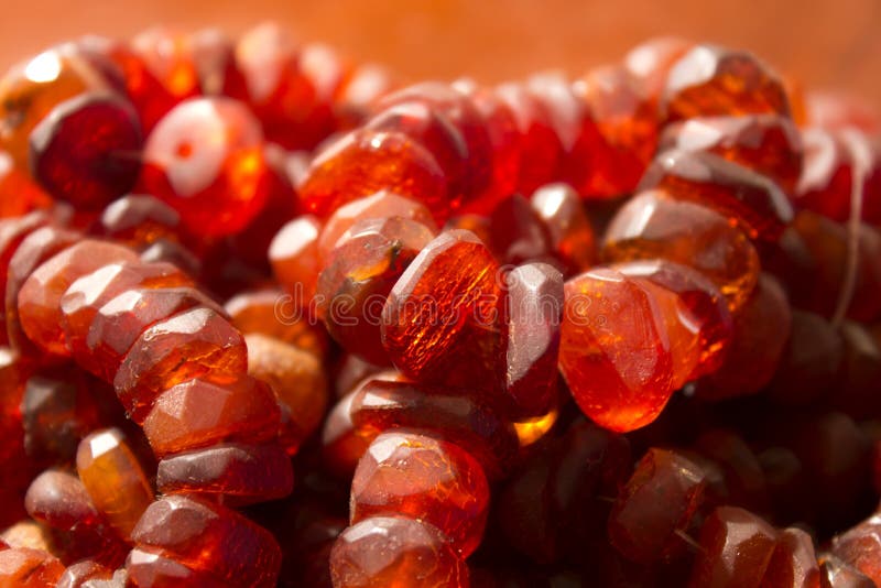 Amber stock image. Image of fossil, fossilized, ancient - 47717301