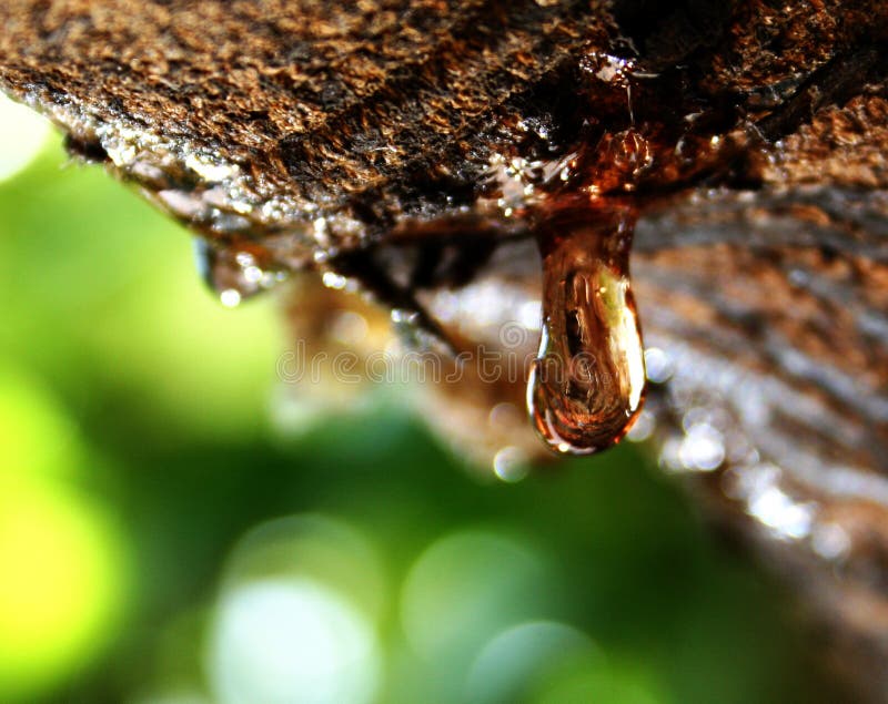 Amber stock photo. Image of andalucia, reflection, espaaplusmn - 40026340
