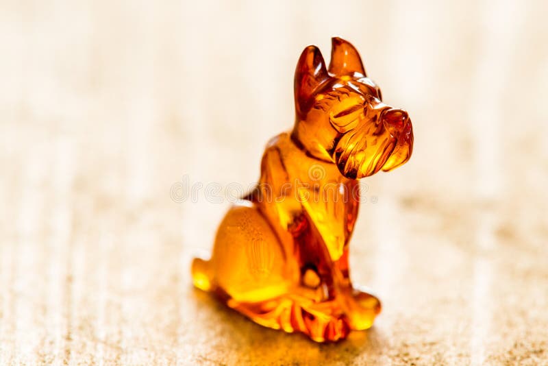 Amber dog, closeup stock image. Image of closeup, background - 73645465