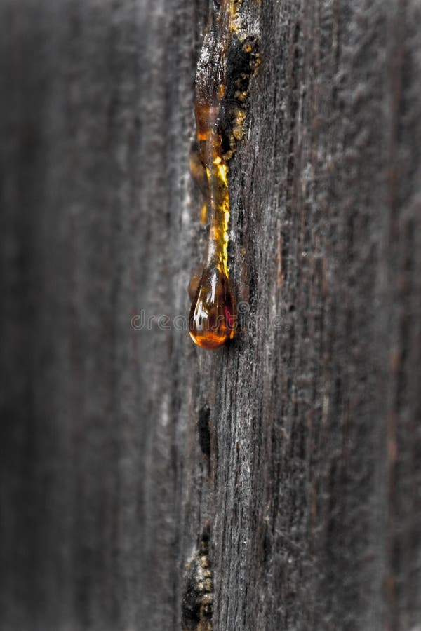 Amber drop stock image. Image of background, structure - 13730861