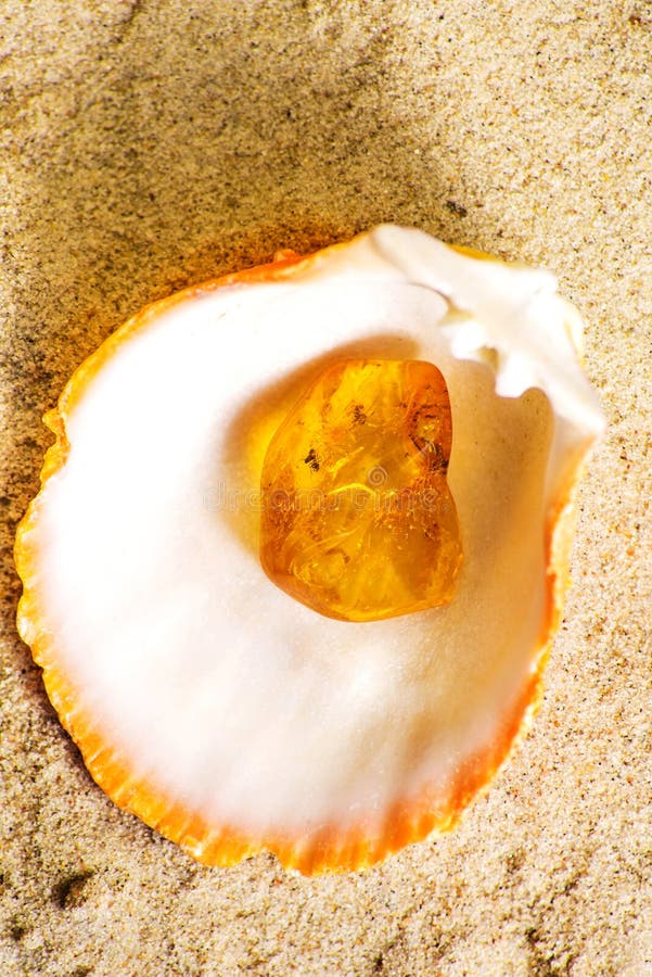 Amber with embedded insect stock image. Image of gemstone - 67487269