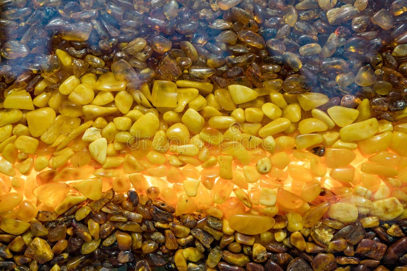 Amber Grains with Backlight Illumination As Texture or Background. Heap ...