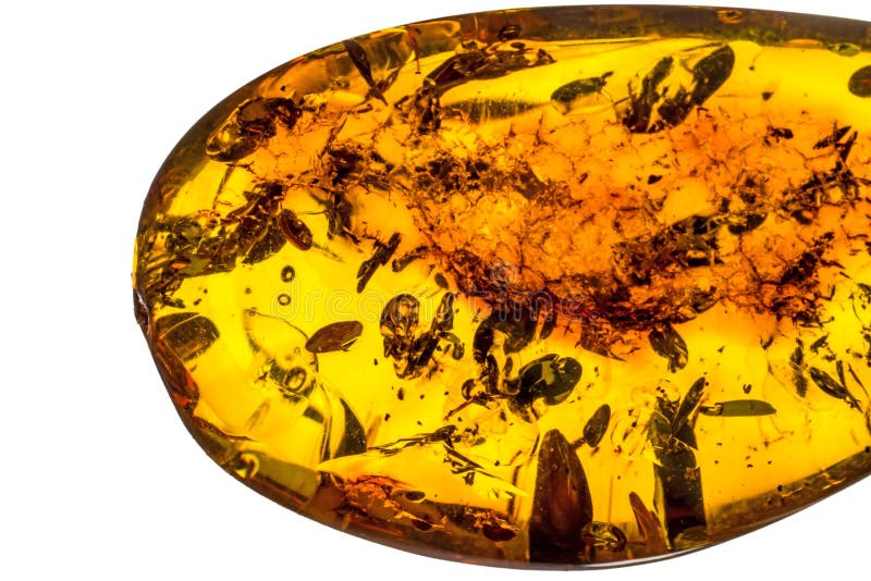 Amber with inclusions stock photo. Image of baltic, yellow - 40729824