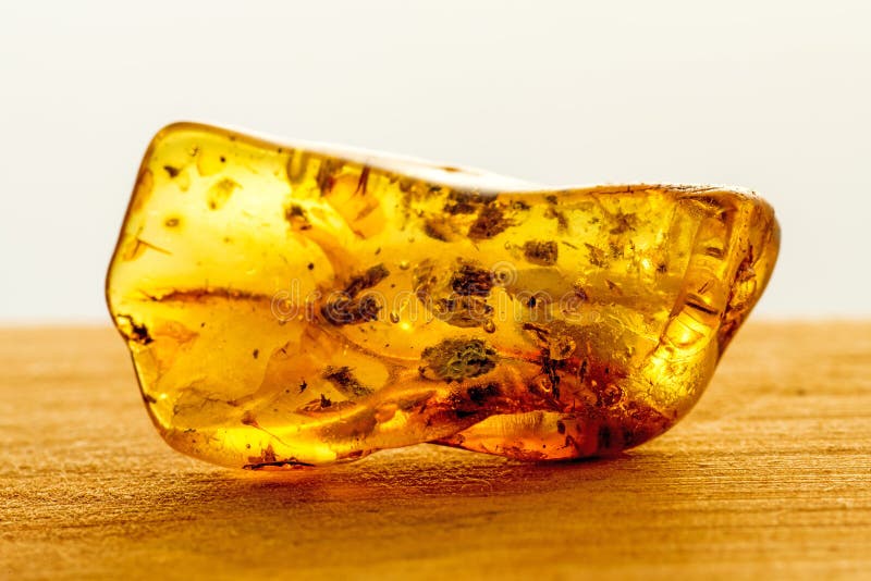 Amber with inclusions stock image. Image of seeds, precious - 57325975