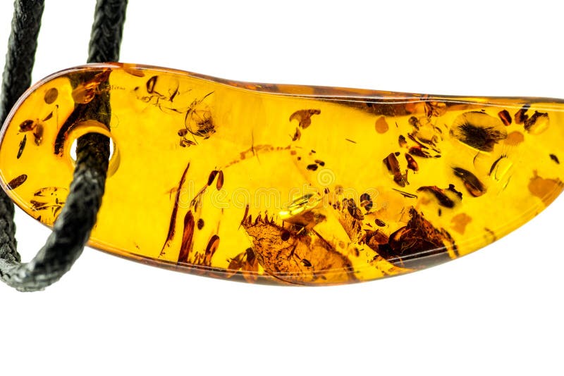 Amber with inclusions stock image. Image of precious - 118484893