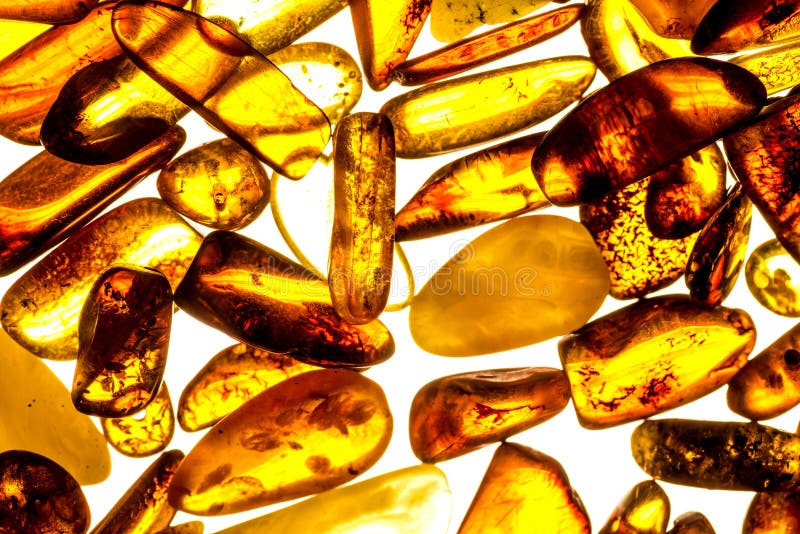 Amber with inclusions stock image. Image of precious - 118484893